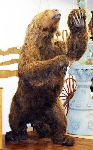 ground sloth revival