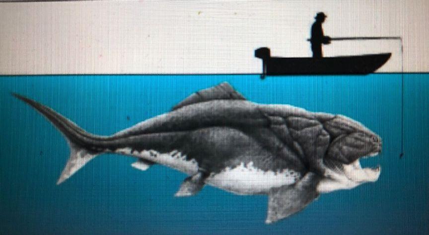 devonian armored fish