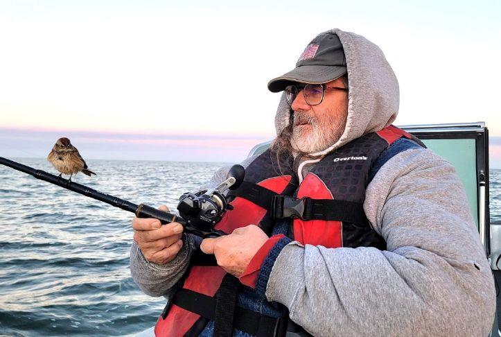 GREAT OUTDOORS: Migrations underway for birds, butterflies, walleye ...