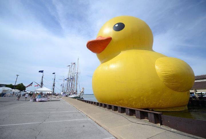 largest rubber duck