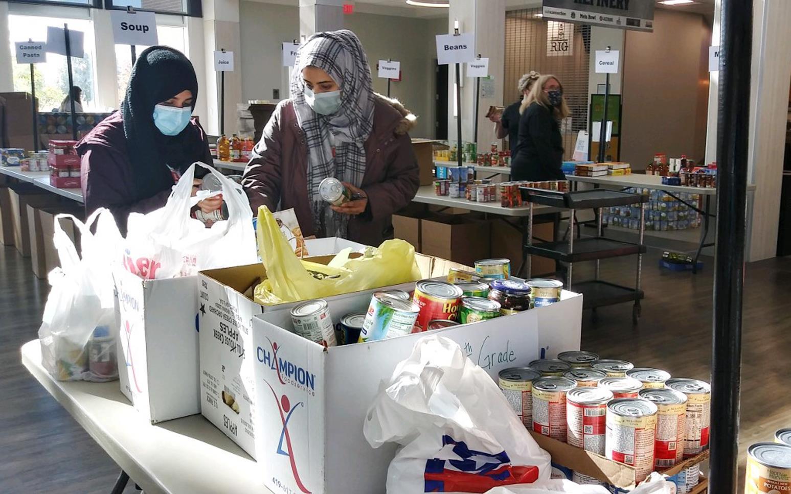 Helping Hands: UF-led food drive unites community | The Courier UF ...