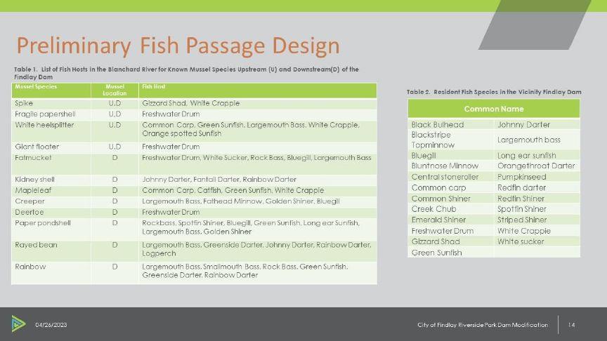 Better fishing ahead at Riverside Park | The Courier Findlay river will ...