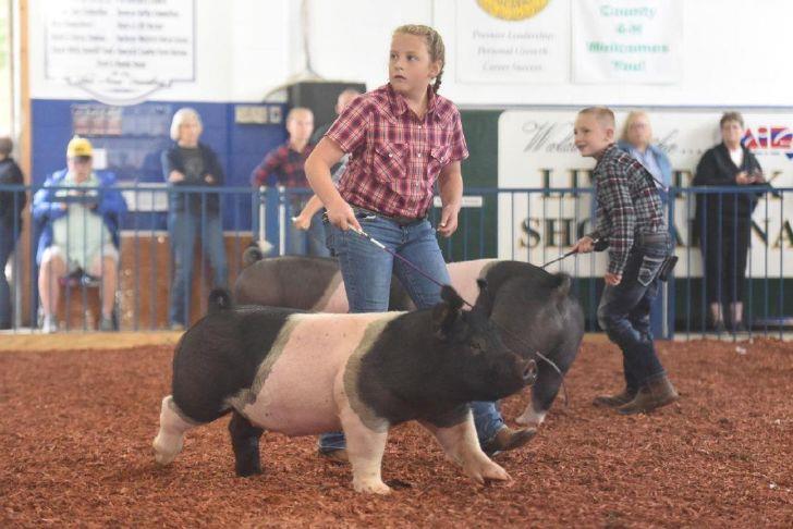 Hancock County Fair offers old favorites, new attractions | The Courier ...