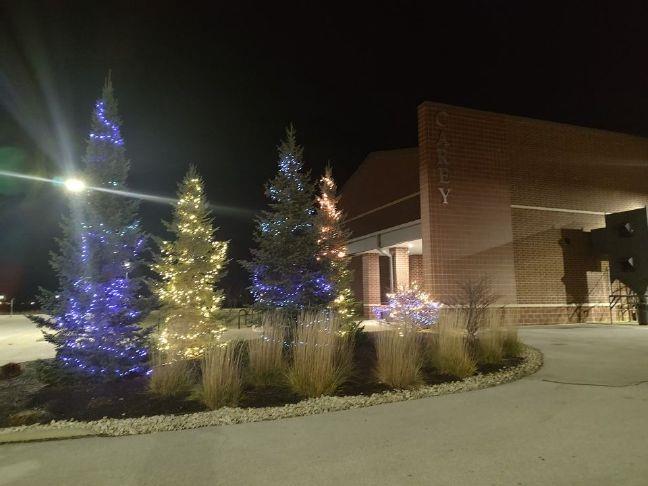 Carey FFA spread holiday cheer by decorating trees | The Courier Carey ...