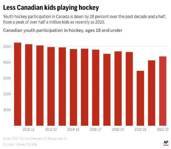 Steady decline in Canadian youth hockey raises concerns | The Courier ...