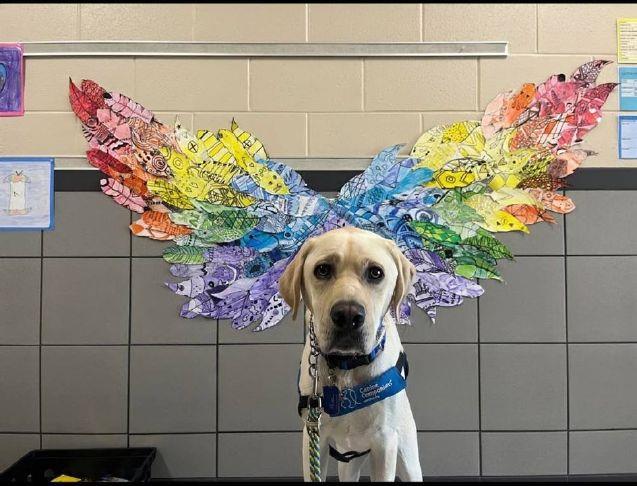 Carey schools welcome K9 Nigel | Review Times Deputy Ryan McKinnon of ...