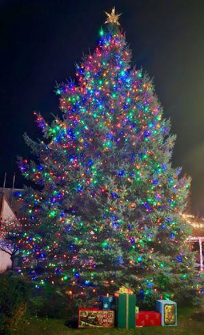 Hundreds turn out for Light Up Norwalk | Norwalk Reflector Event had ...