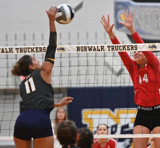 Bellevue tops Norwalk for key Lake win | Norwalk Reflector The Truckers ...