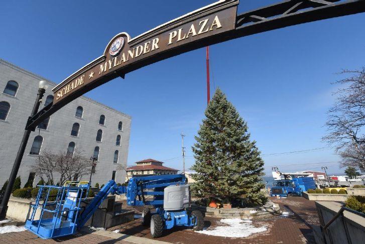 City offering free Christmas tree removal services | Sandusky Register ...