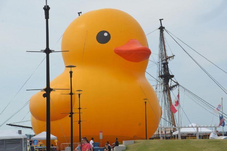 Mama Duck returning to region | Norwalk Reflector It's set to come back ...