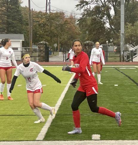 Mitchell's goal leads Port Clinton to sectional title | Sandusky ...