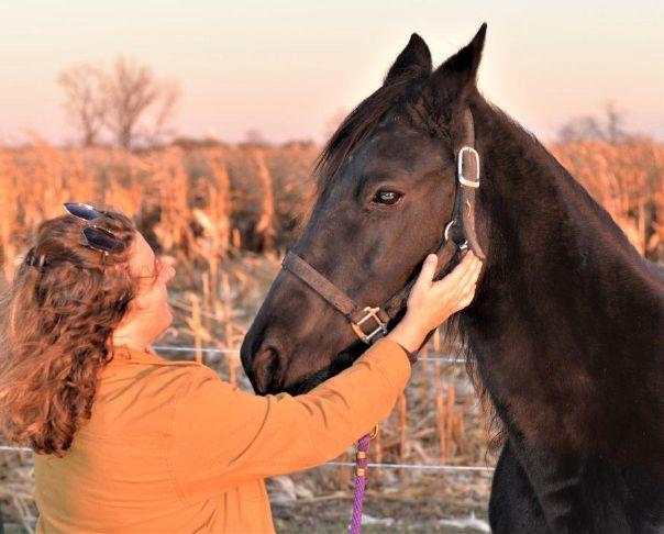 Healing horses, healing humans | Sandusky Register Horse therapy ...