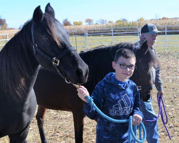 Healing horses, healing humans | Sandusky Register Horse therapy ...