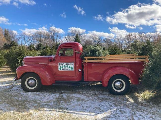 Piney Paradise celebrates 40th anniversary | Advertiser-Tribune Norwalk ...