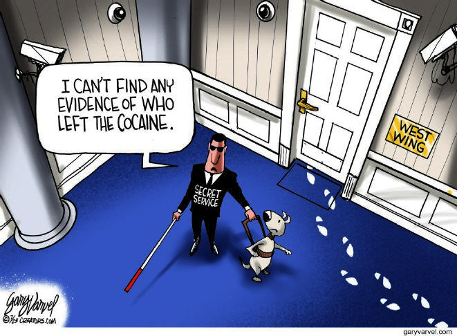 Look here | Sandusky Register Cartoon commentary