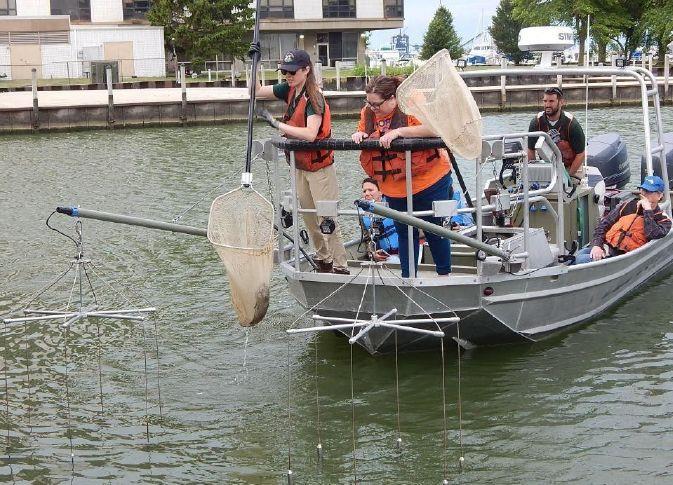 GREAT OUTDOORS: Governor's Fish Ohio Day sings praises of Lake Erie ...