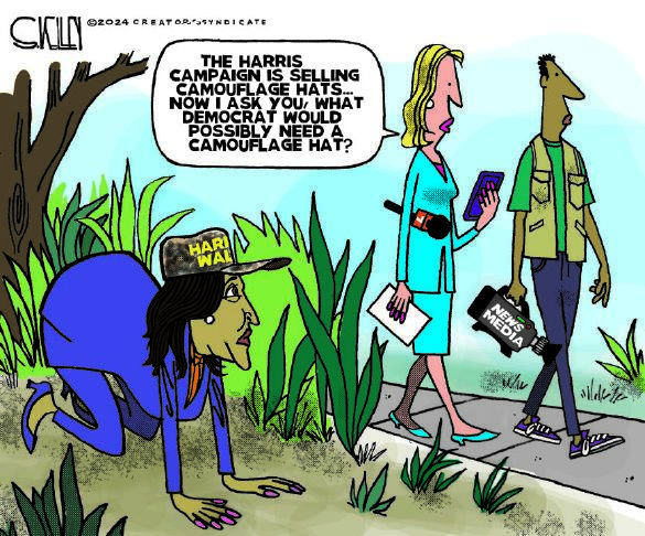 Hiding out | Sandusky Register Cartoon commentary