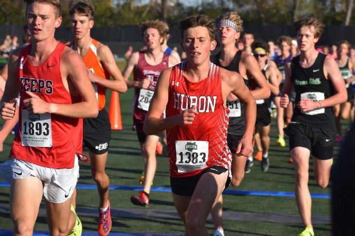 Three area runners earn all-Ohio status at state XC | Sandusky Register ...