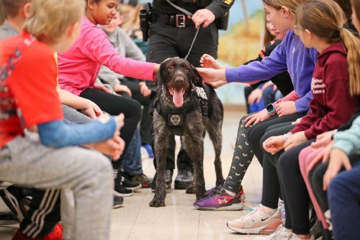 Meet police dog, eat free hot dog | Sandusky Register Fundriaser for ...