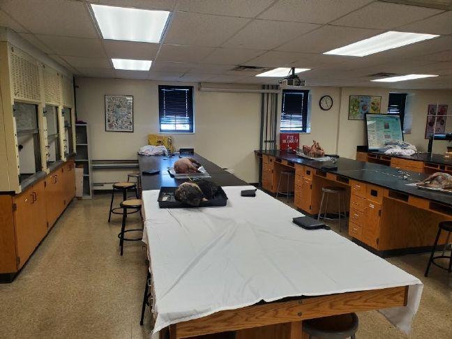 Teens test forensic skills with autopsies at summer camp | Sandusky ...