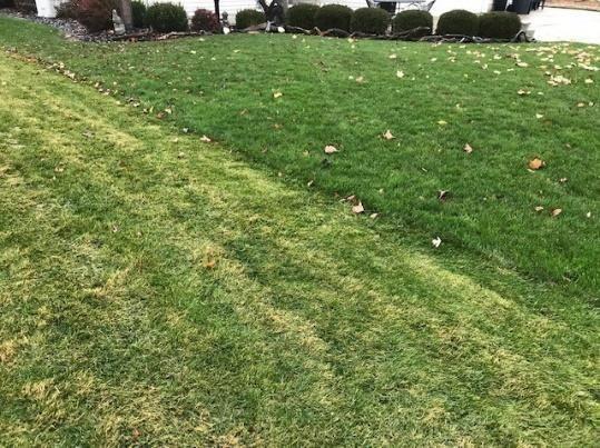 The benefits of fall lawn fertilization | Sandusky Register Let's Get ...