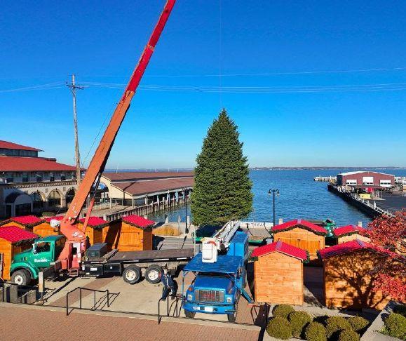 Christmas tree arrives in Sandusky | Sandusky Register 35-foot-tall ...