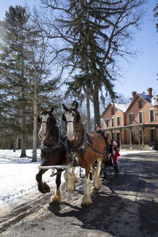 Horse-drawn sleigh and trolley rides through Spiegel Grove | Advertiser ...