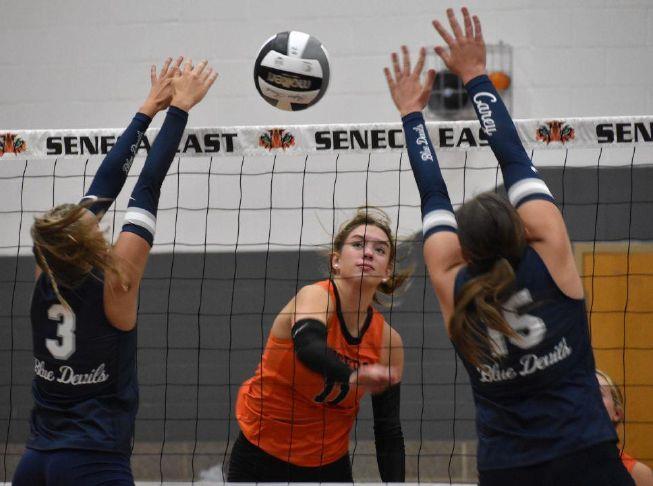 Tigers tame N10-leading Blue Devils | Advertiser-Tribune Volleyball roundup