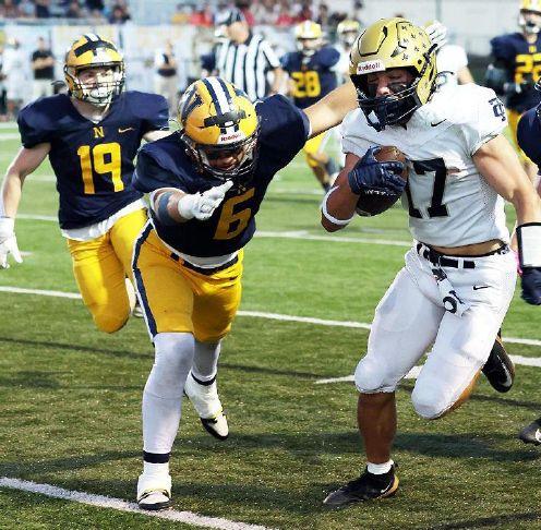 gavin wolfe evergreen